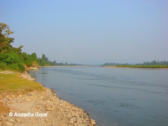 Nameri National Park & Tiger Reserve, Assam - Inditales