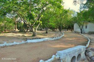 Shamirpet Lake And Around In Hyderabad - Inditales