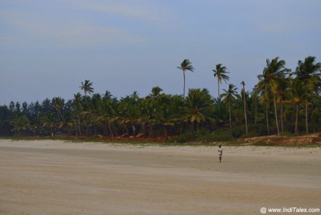 Utorda Beach, Goa - Must Visit South Goa Beaches - Inditales