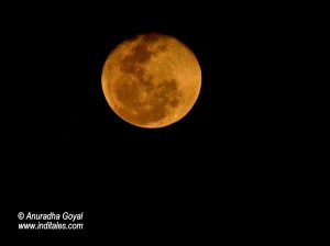 Night Walk On Goa Beaches On A Full Moon Night - Inditales