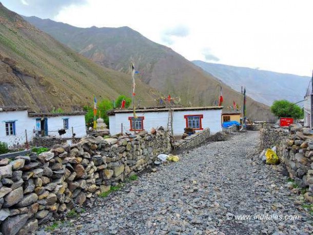 Drive To Resolve The Curiosity Of Giu Mummy - Inditales