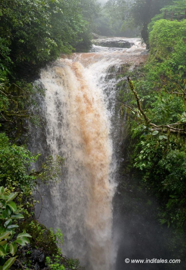 Amboli Ghat - Kingdom Of Waterfalls In Western Ghats - Inditales