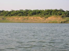 India's cleanest Chambal River – Ecosystem & Ravines - Inditales