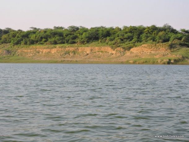 India's cleanest Chambal River – Ecosystem & Ravines - Inditales