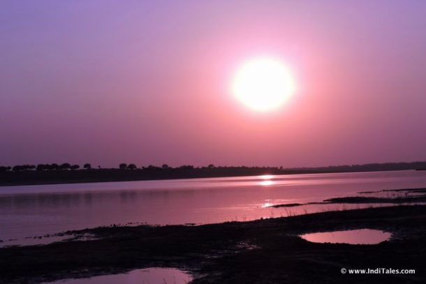 India's cleanest Chambal River – Ecosystem & Ravines - Inditales