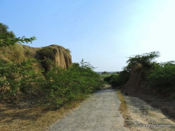 India's cleanest Chambal River – Ecosystem & Ravines - Inditales