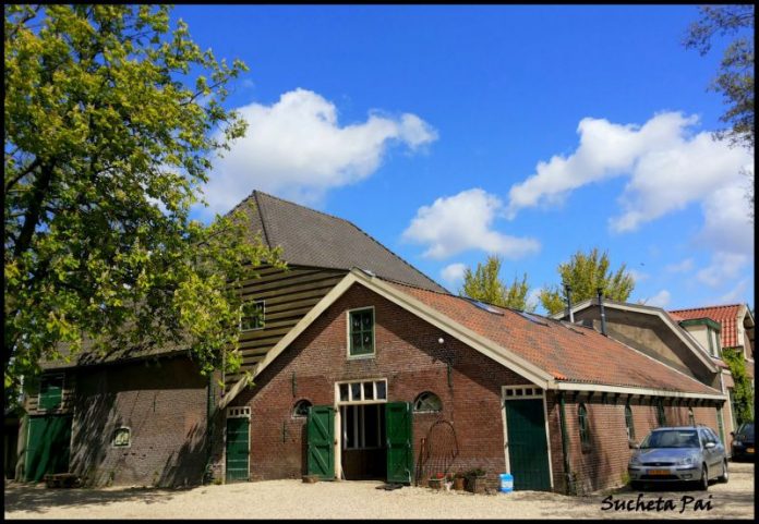 Gouda Cheese & Taste Of Traditions From Amsterdam - Inditales