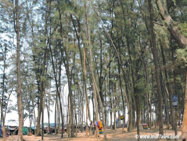 Things To Do At Jampore Beach Daman Tour - Inditales