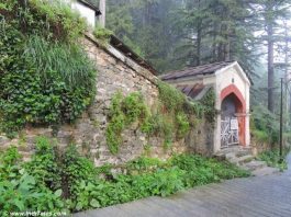 Must Do Walks In And Around Landour, Mussoorie - Inditales
