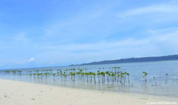 Arborek – Glimpse Of Heaven Called Raja Ampat In Indonesia - Inditales