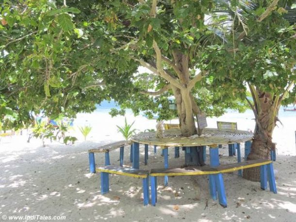 Arborek – Glimpse Of Heaven Called Raja Ampat In Indonesia - Inditales