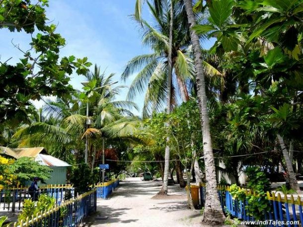 Arborek – Glimpse Of Heaven Called Raja Ampat In Indonesia - Inditales