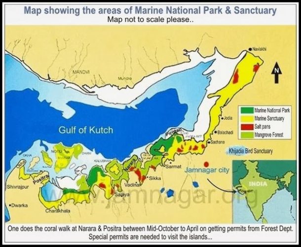 Stunning Marine National Park At Narara, Jamnagar - Inditales