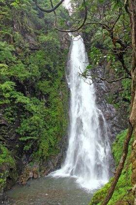 Best Places To Visit In South Goa During Your Holidays - Inditales
