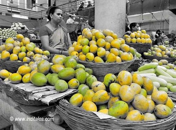 National Symbols Of India - Travel To Discover India - Inditales