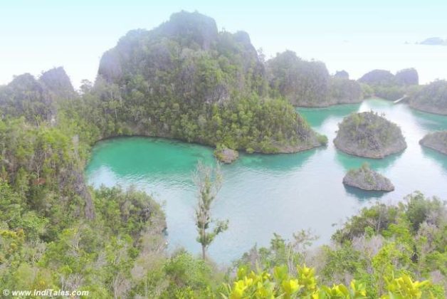 Star Lagoon Of Pianemo Islands At Raja Ampat, Indonesia - Inditales
