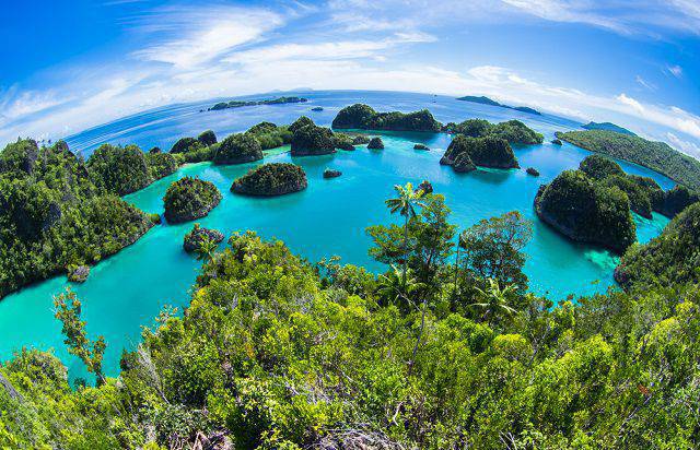 Star Lagoon Of Pianemo Islands At Raja Ampat, Indonesia - Inditales