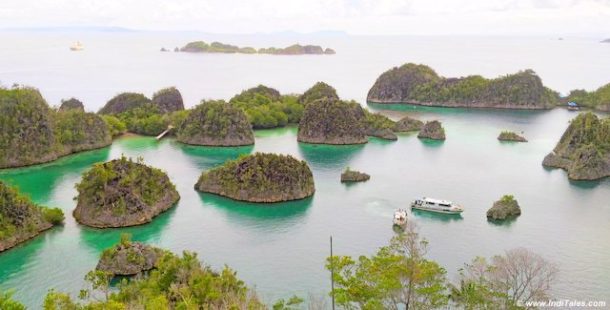 Star Lagoon Of Pianemo Islands At Raja Ampat, Indonesia - Inditales