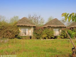 Barahi Jungle Lodge At Chitwan National Park, Nepal - Inditales