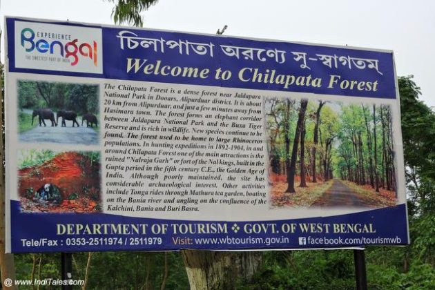 Hollong - Biodiversity Hotspot Of Jaldapara National Park - Inditales