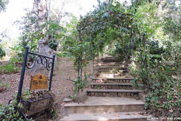 Coffee Plantation Life At Coorg Old Kent Estate - Inditales