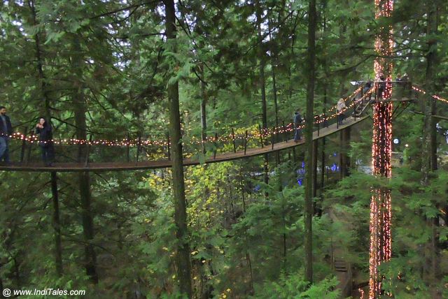 Stunning Capilano Suspension Bridge Park, Vancouver BC - Inditales