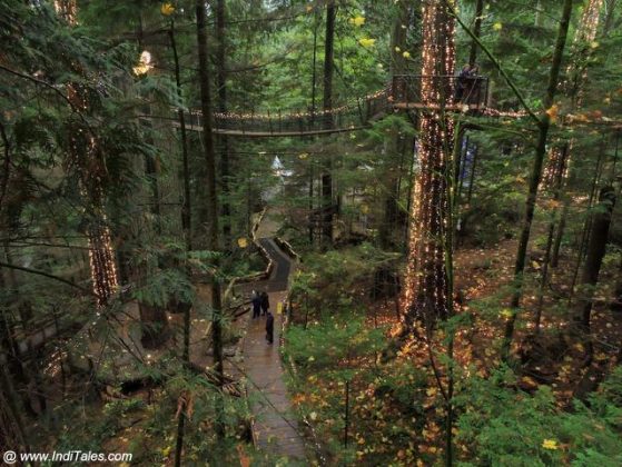 Stunning Capilano Suspension Bridge Park, Vancouver BC - Inditales
