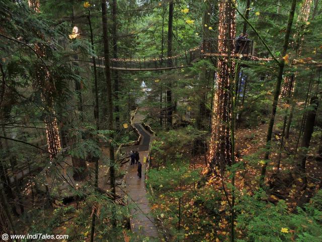 Stunning Capilano Suspension Bridge Park, Vancouver BC - Inditales
