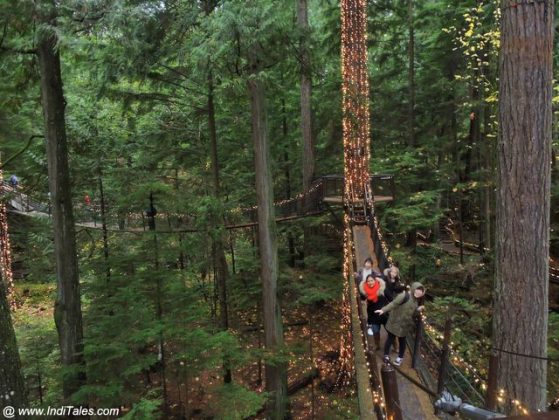 Stunning Capilano Suspension Bridge Park, Vancouver BC - Inditales