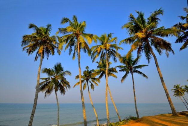 Top Trivandrum Tourist Places You Must Explore - Inditales