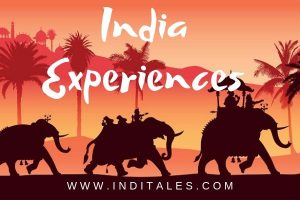 Planning India Travel? Explore 12 Unique Experiences - Inditales