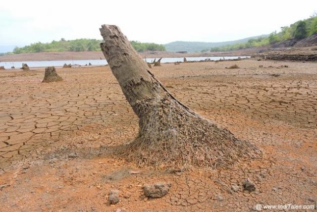 Curdi - Goan Village That Appears Once A Year In May - Inditales