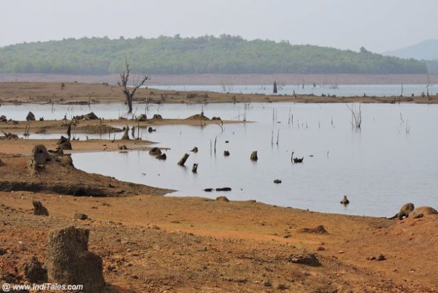 Curdi - Goan Village That Appears Once A Year In May - Inditales