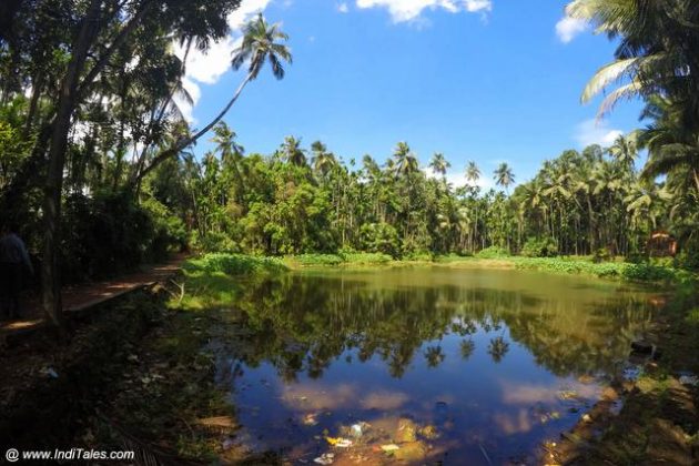 Divar Island, Goa - Heritage, Nature Trail On River Island - Inditales
