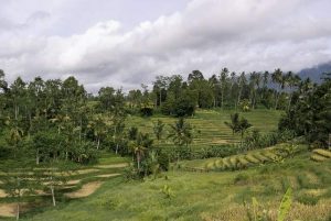 Munduk: The Underrated Destination In Bali, Indonesia - Inditales