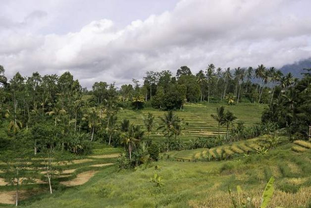 Munduk: The Underrated Destination In Bali, Indonesia - Inditales