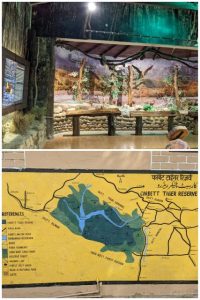 Jim Corbett National Park On Your Nainital Trip - Inditales