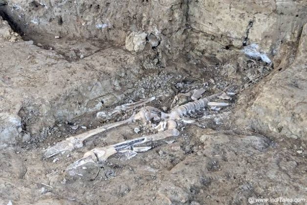 Rakhigarhi – Biggest Sindhu Saraswati Civilization Site In Haryana - Inditales